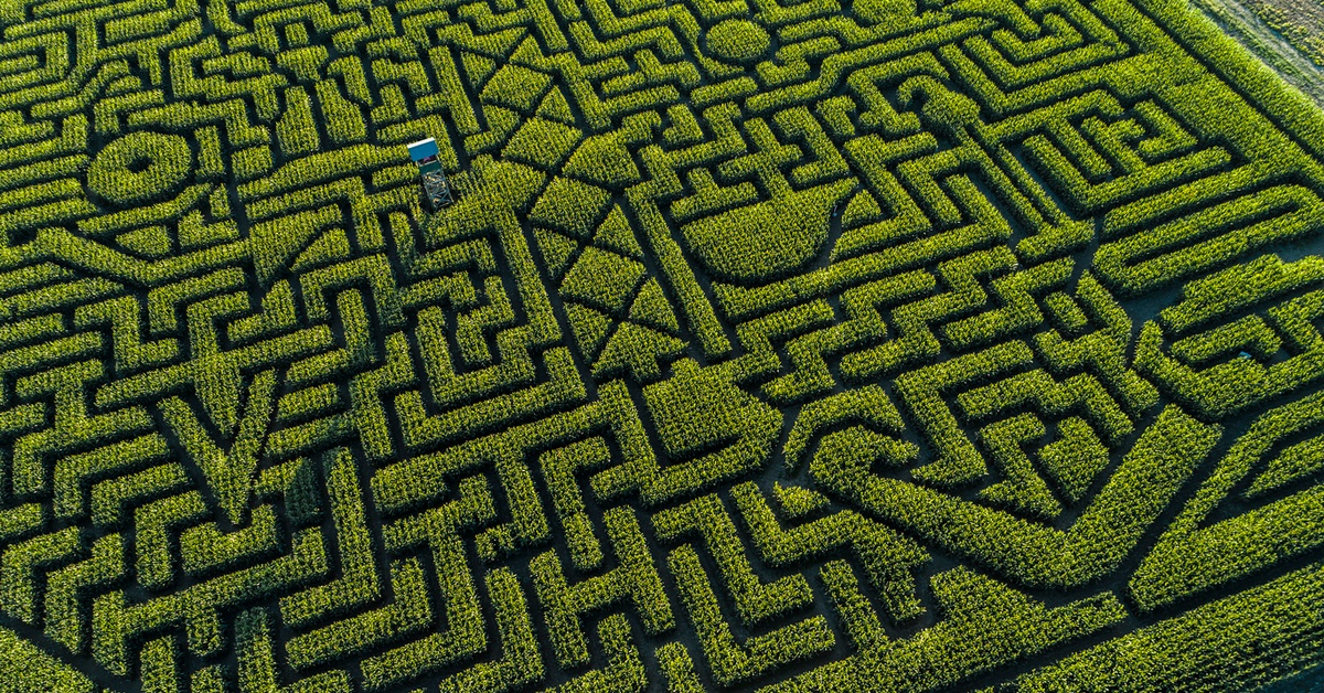 Amaze Us by Piecing This Maze Puzzle Back Together - Dailybreak