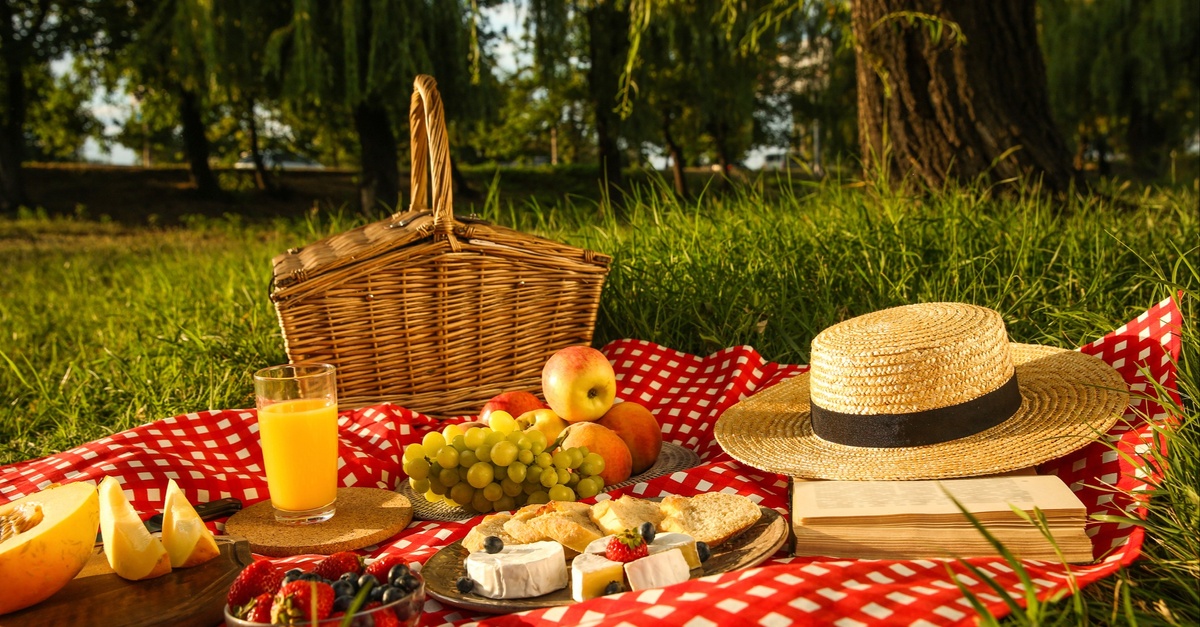 9 Picnic Essentials to Add to Your Online Shopping Cart - Dailybreak