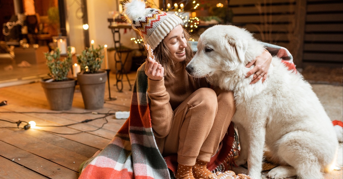 12 Days of Homemade Holiday Pet Treats - Dailybreak