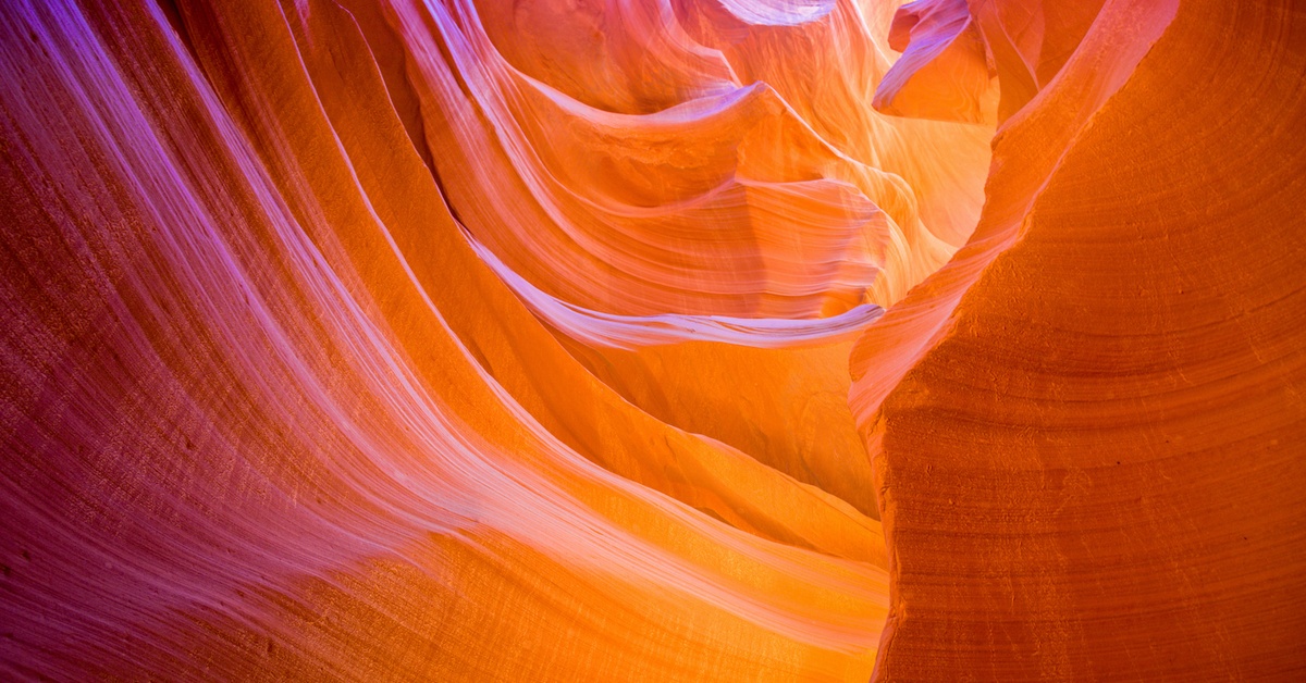 Test Your Eye for Color and Name These Shades of Orange - Dailybreak