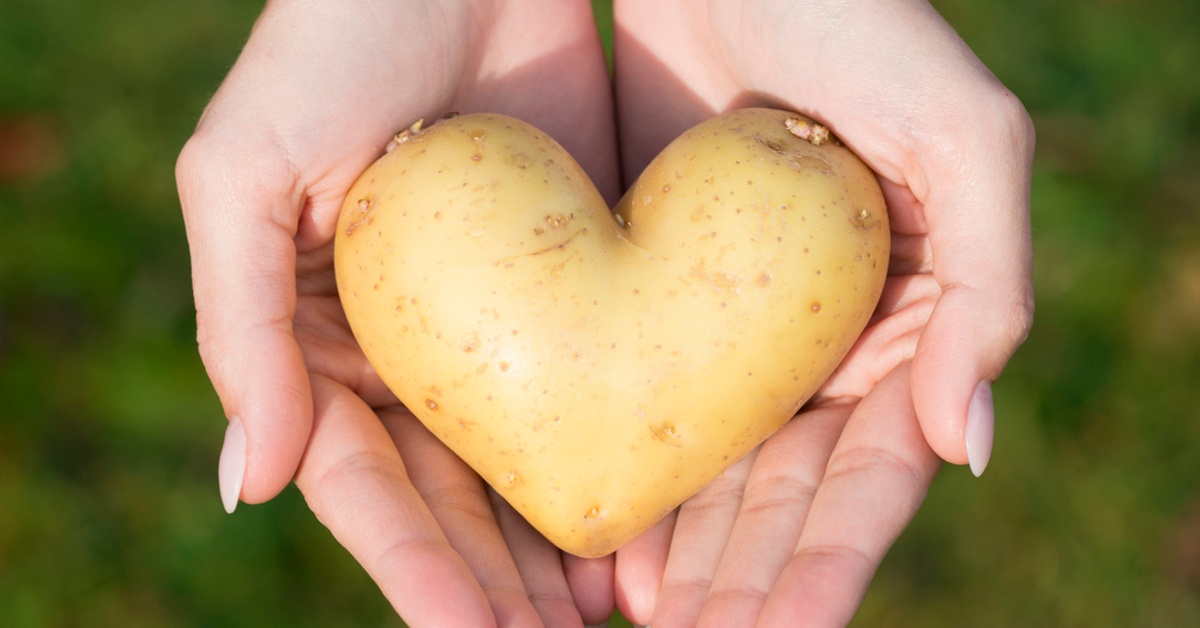 Can We Guess Your Favorite Kind of Potato? - Dailybreak