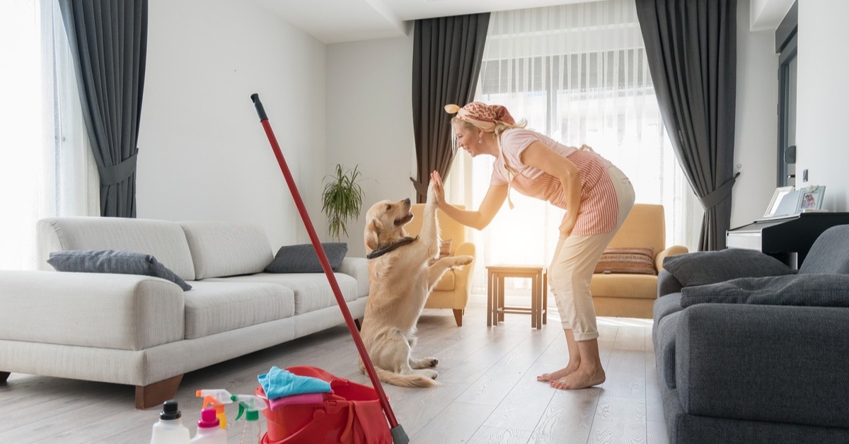 Get Your Home Guest-Ready With This 20-Minute Clean-up - Dailybreak