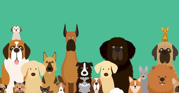 Can You Spot the Differences in These Adorable Puppy Photos? - Dailybreak