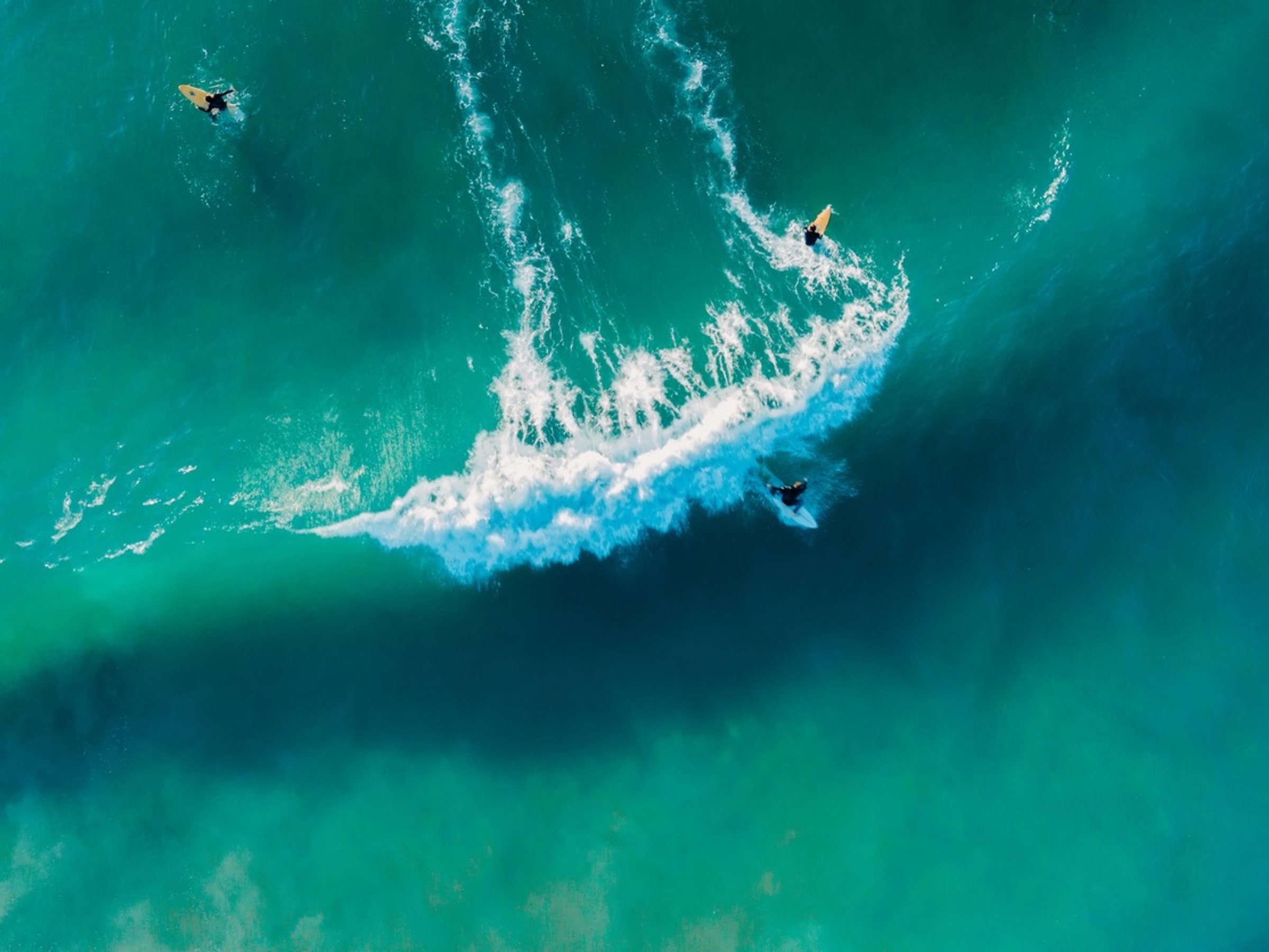 Gnarly Waves & Scrambled Pieces - Dailybreak