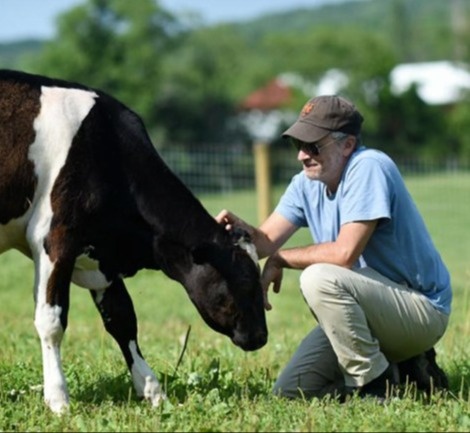 7 Celebrity-Backed Animal Foundations to Know - Dailybreak