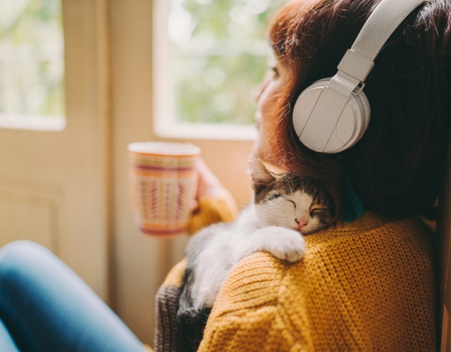 7 Cozy Podcasts to Listen to While Curled up at Home - Dailybreak