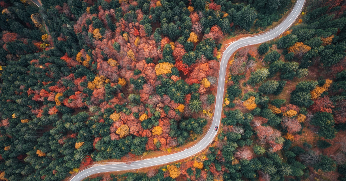 The Road to Fall Has Just Begun With This Puzzle - Dailybreak