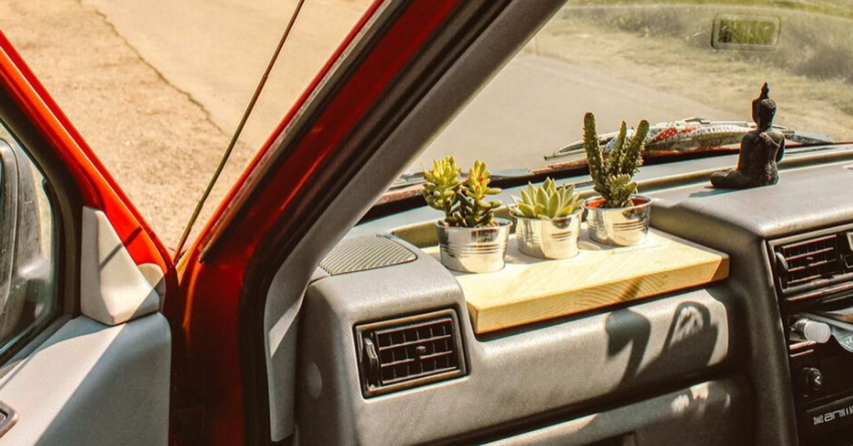 Have You Tried Cardening Yet, the Silly Car Garden Trend? - Dailybreak