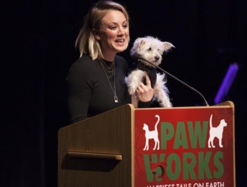 7 Celebrity-Backed Animal Foundations to Know - Dailybreak