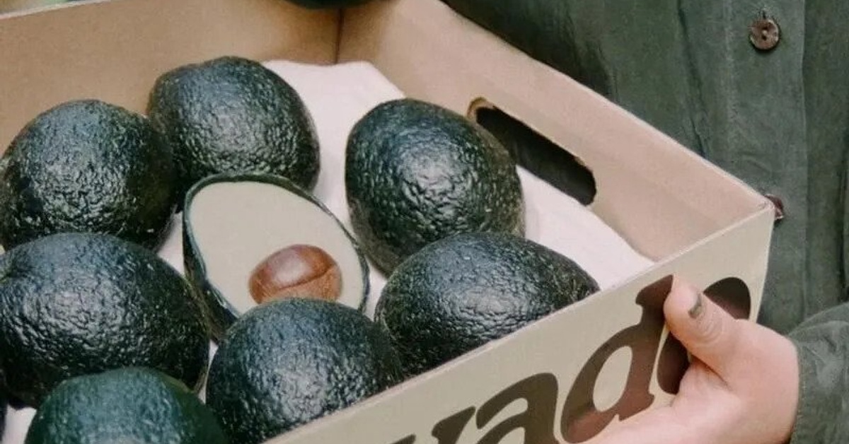 Meet the Ecovado, the Sustainable Avocado Alternative - Dailybreak